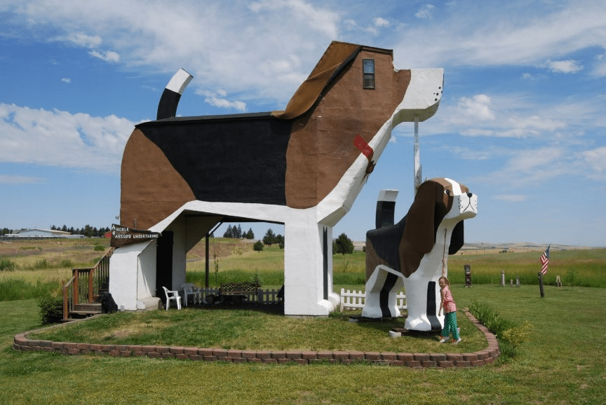 10 Of The Most Bizarre Houses In The World | Wisealive